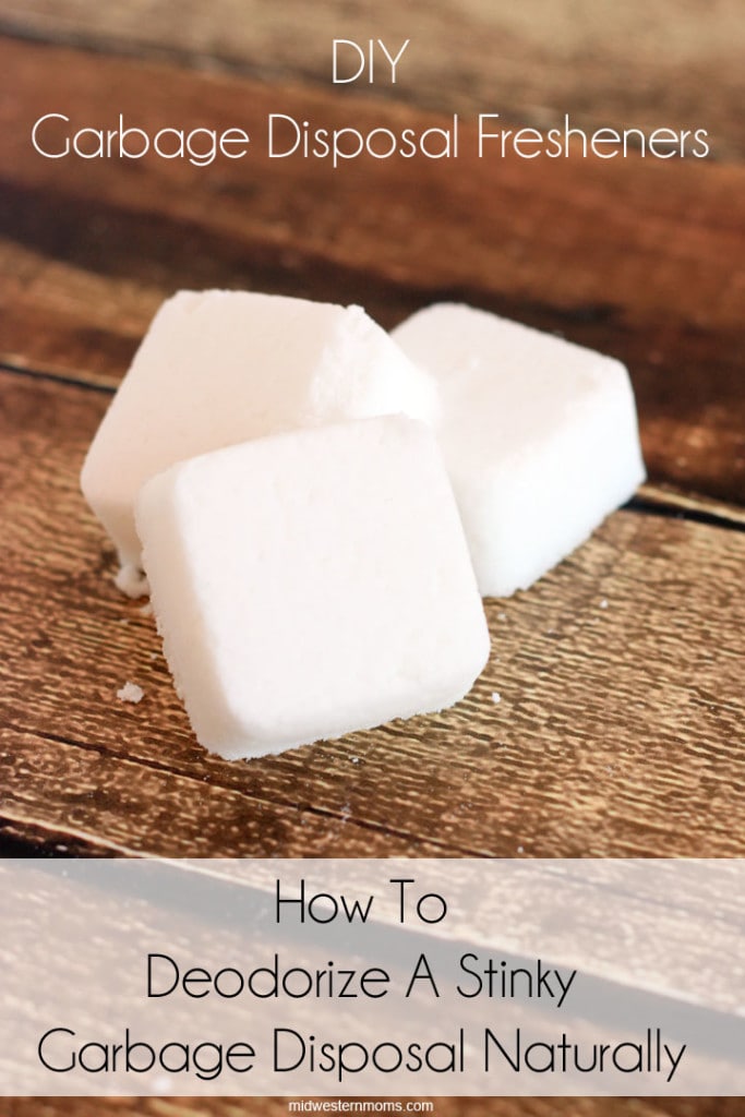 How To Deodorize A Stinky Garbage Disposal Naturally - Midwestern Moms